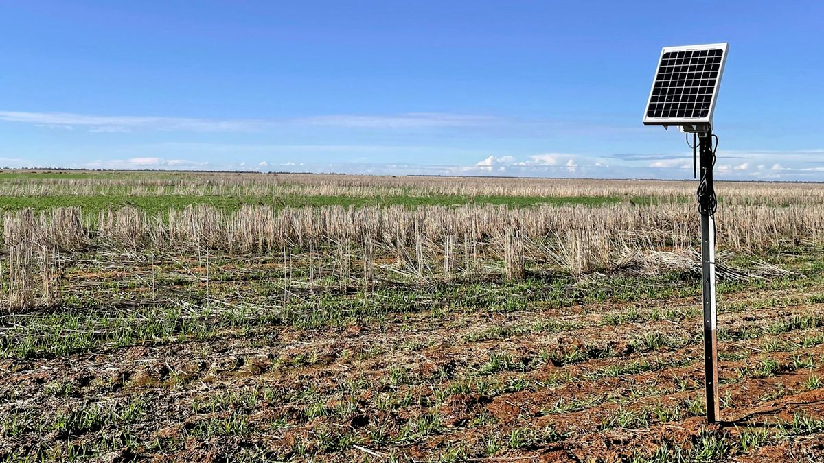 CW | 42 Technology helps develop smart monitoring for remote Australian ...